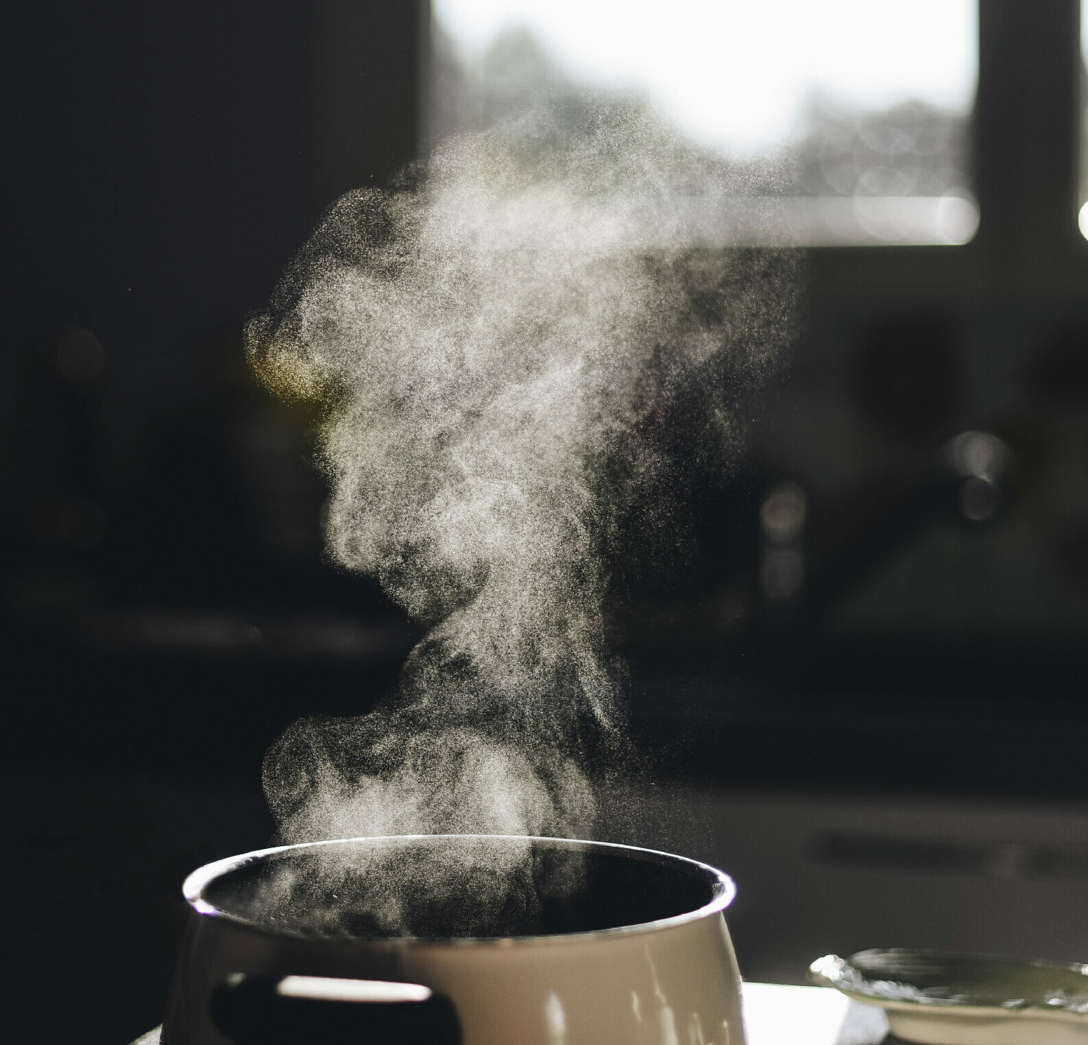 Fondos básicos | Cookit school